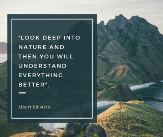 Article: What’s really going on here? How TetraMap helps to grow ...