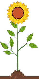 Introducing TetraMap to your organization the EASY WAY. - Tetramap