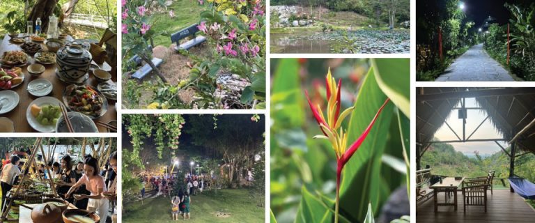 TetraMap launches in Vietnam. - Tetramap